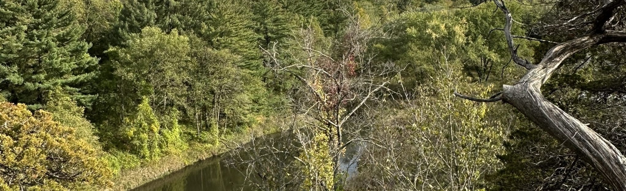 Backbone State Park Trail Loop, Iowa - 223 Reviews, Map | AllTrails