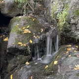 Lewis Spring Falls Trail, Virginia - 1,295 Reviews, Map | AllTrails