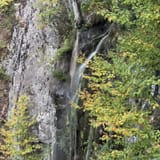 Lewis Spring Falls Trail, Virginia - 1,295 Reviews, Map | AllTrails