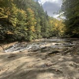 Meadow Run Trail, Pennsylvania - 1,063 Reviews, Map | AllTrails