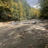 Meadow Run Trail, Pennsylvania - 1,063 Reviews, Map | AllTrails