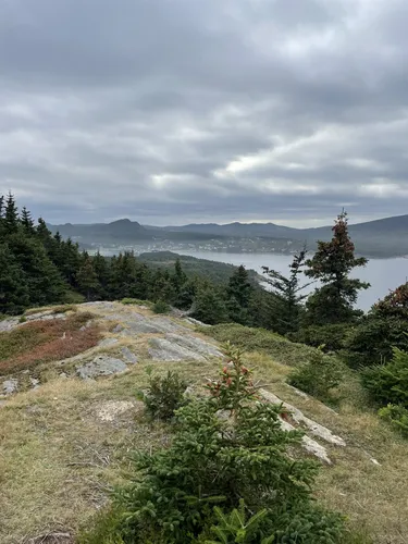 2023 Best Beach Trails in Norman's Cove-Long Cove | AllTrails