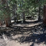 Abyss Trail to Helms Lake, Colorado - 2,226 Reviews, Map | AllTrails