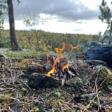 Cove Point Loop to Superior Hiking Trail Loop, Minnesota - 126 Reviews ...