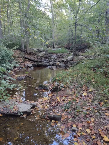 Best Hikes and Trails in Monocacy River Natural Resource Management ...