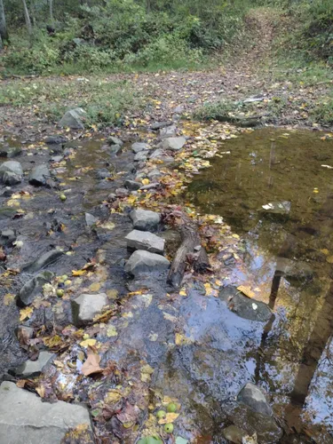 Best Hikes and Trails in Monocacy River Natural Resource Management ...