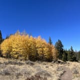 Meadow Loop and Ridge Trail, Colorado - 3,196 Reviews, Map | AllTrails