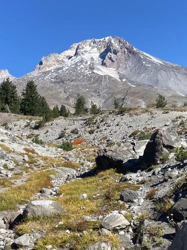 Best Hikes and Trails in Timberline Bike Park | AllTrails