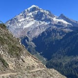 Top Spur and Timberline Loop, Oregon - 744 Reviews, Map | AllTrails