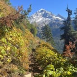 Top Spur and Timberline Loop, Oregon - 744 Reviews, Map | AllTrails