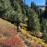 Tatoosh Ridge Trail, Washington - 366 Reviews, Map | AllTrails