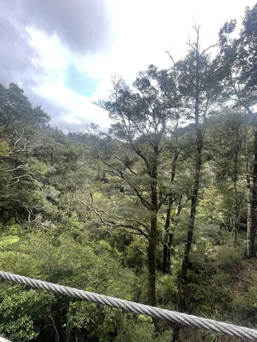 Best Moderate Trails in Remutaka Forest Park | AllTrails