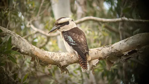 Best Hikes and Trails in Sandy Camp Road Wetlands Reserve | AllTrails
