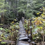 Mount MacFarlane, British Columbia, Canada - 383 Reviews, Map | AllTrails