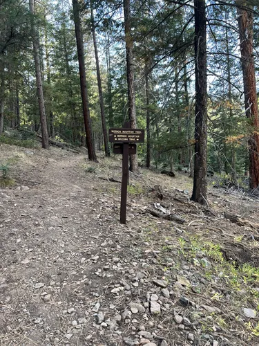 Best Lake Trails in Happy Jack | AllTrails