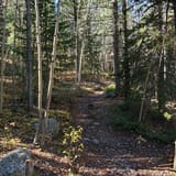Ben Tyler Trail, Colorado - 673 Reviews, Map | AllTrails
