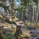 Ben Tyler Trail, Colorado - 673 Reviews, Map | AllTrails