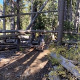 Grass Lake, California - 559 Reviews, Map | AllTrails