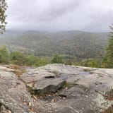Jessie Gerard Trail, Connecticut - 1,062 Reviews, Map | AllTrails
