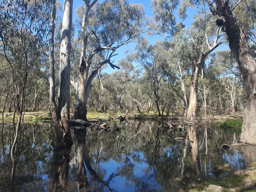 Best Hikes and Trails in Murray Valley Regional Park | AllTrails