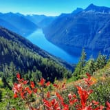 Flora Peak, British Columbia, Canada - 445 Reviews, Map | AllTrails