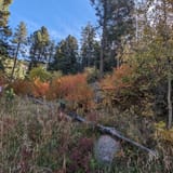 Mount Herman Trail, Colorado - 1,647 Reviews, Map | AllTrails