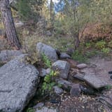 Mount Herman Trail, Colorado - 1,647 Reviews, Map | AllTrails
