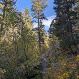 Mount Herman Trail, Colorado - 1,647 Reviews, Map | AllTrails