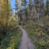 Mount Herman Trail, Colorado - 1,659 Reviews, Map | AllTrails