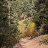 Mount Herman Trail, Colorado - 1,659 Reviews, Map | AllTrails