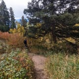 Mount Herman Trail, Colorado - 1,659 Reviews, Map | AllTrails