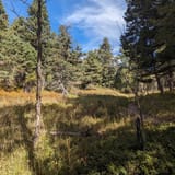 Mount Herman Trail, Colorado - 1,659 Reviews, Map | AllTrails