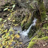 Cascade Falls Overlook Trail, Montana - 316 Reviews, Map | AllTrails