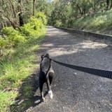 Cardinia Aqueduct Trail, Victoria, Australia - 274 Reviews, Map | AllTrails