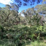 Cardinia Aqueduct Trail, Victoria, Australia - 274 Reviews, Map | AllTrails