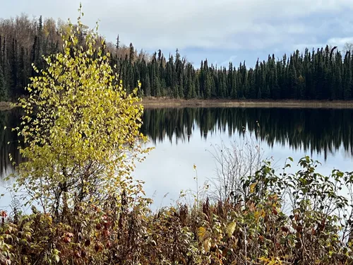 Best Hikes and Trails in Nancy Lake State Recreation Area | AllTrails