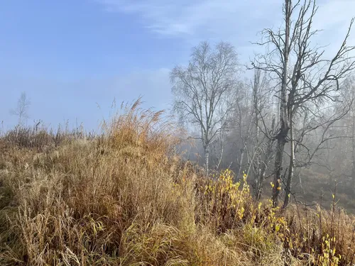 Best Hikes and Trails in Nancy Lake State Recreation Area | AllTrails