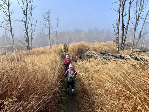 Best Hikes and Trails in Nancy Lake State Recreation Area | AllTrails