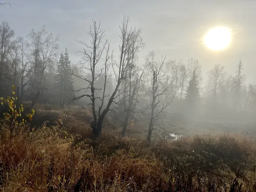 Best Hikes and Trails in Nancy Lake State Recreation Area | AllTrails