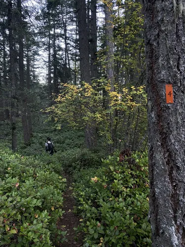 Best Hikes and Trails in Mount Maxwell Provincial Park | AllTrails