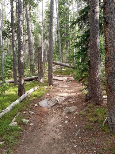 Best Off Road Driving Trails in Red Feather Lakes | AllTrails