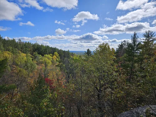 10 Best Moderate Trails in Ottawa National Forest | AllTrails