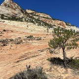 Checkerboard Mesa Canyon Trail, Utah - 197 Reviews, Map | AllTrails