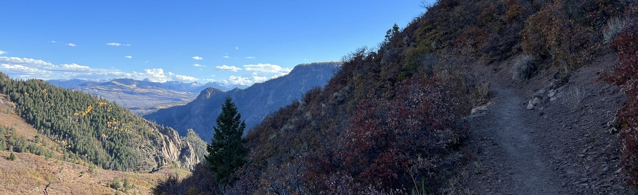 Crystal Creek Trail, Colorado - 153 Reviews, Map | AllTrails