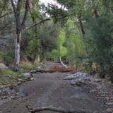 Haunted Canyon Trail to Toney Ranch, Arizona - 394 Reviews, Map | AllTrails