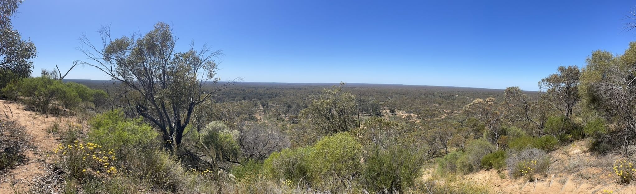 Murray-Sunset Remote Walking Track: 7 Reviews, Map - Victoria ...