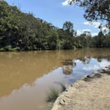 Galatea Point & Dights Falls Loop, Victoria, Australia - 416 Reviews ...