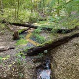 Tatum County Park Trails, New Jersey - 675 Reviews, Map | AllTrails