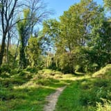 Tatum County Park Trails, New Jersey - 675 Reviews, Map | AllTrails