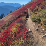 White Pass Pilot Ridge Loop Trail, Washington - 95 Reviews, Map | AllTrails